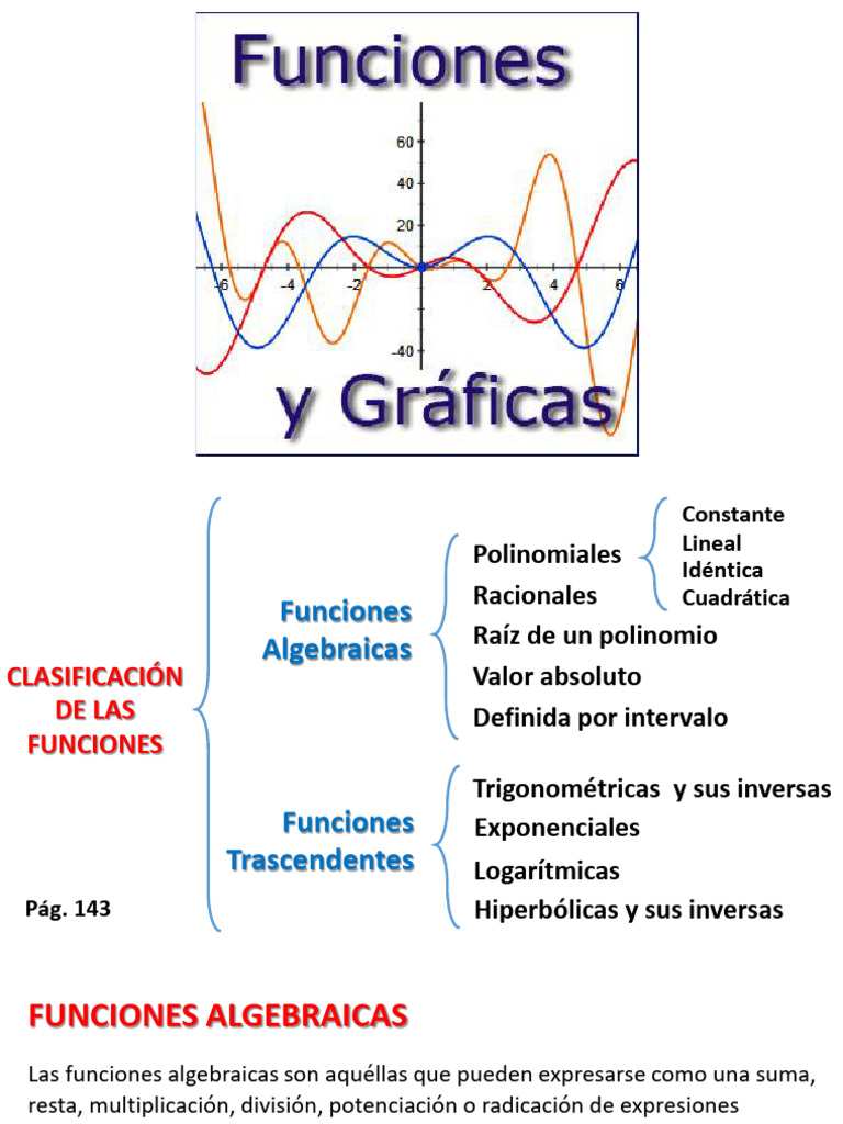 Funciones Algebraicas | PDF | Función (Matemáticas) | Logaritmo