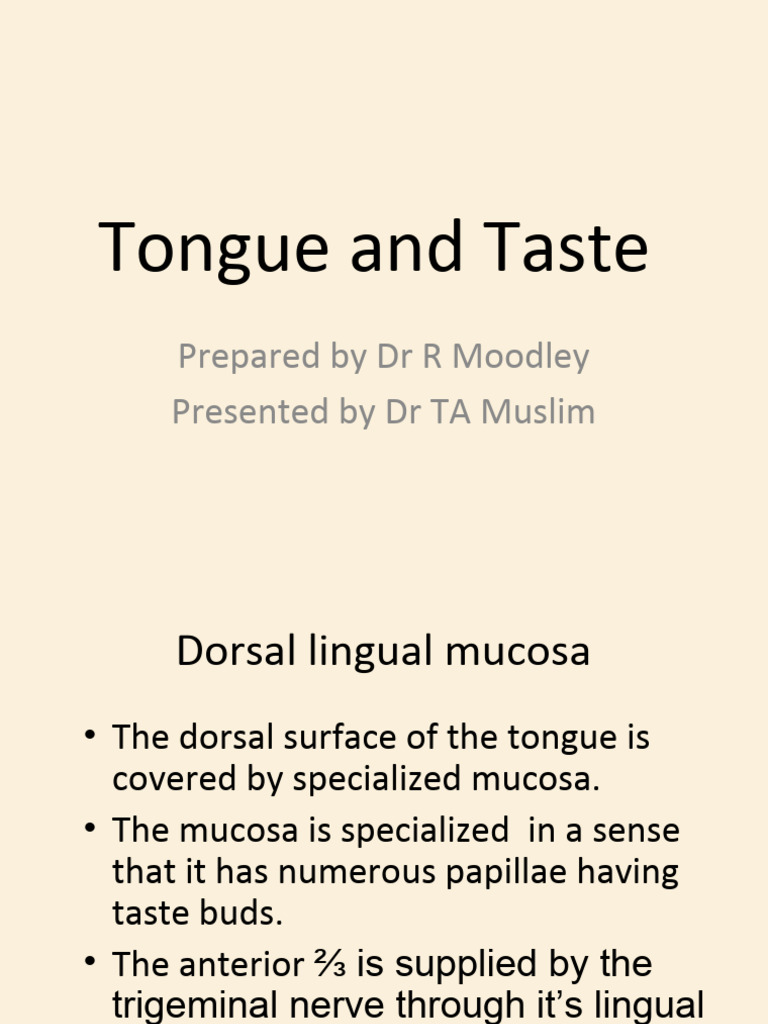 Structure of The Tongue and Taste | PDF | Tongue | Taste