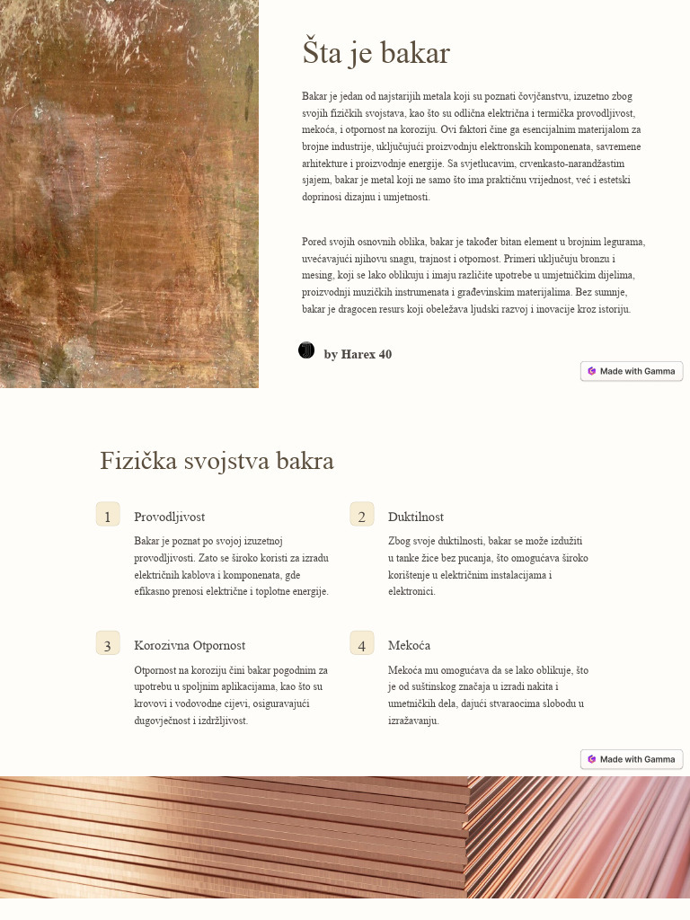 Sta Je Bakar | PDF
