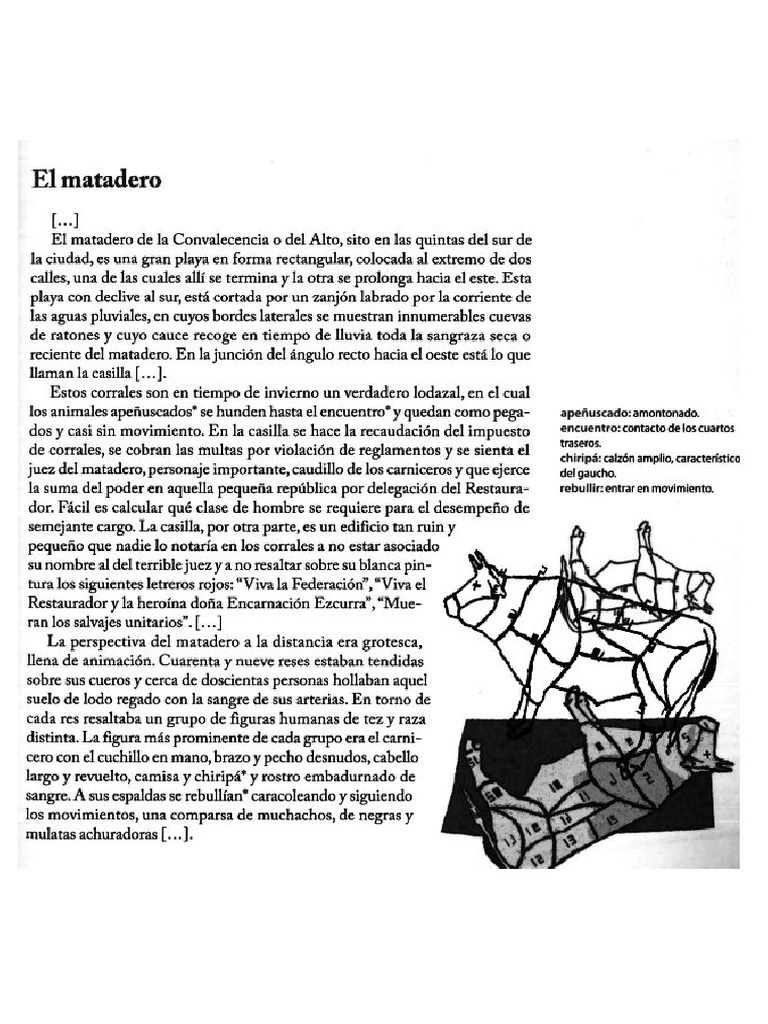 El Matadero | PDF