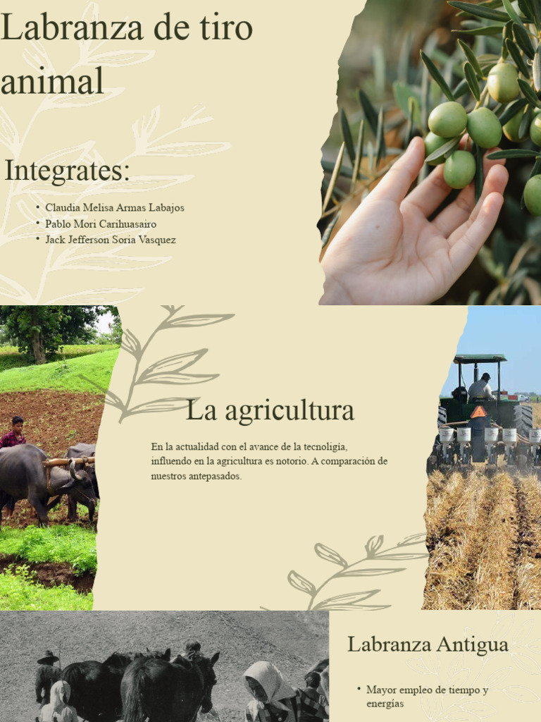 Presentación Proyecto Agronomía y Agricultura Elegante y Versátil Tonos Verde Tierra y Beige ...