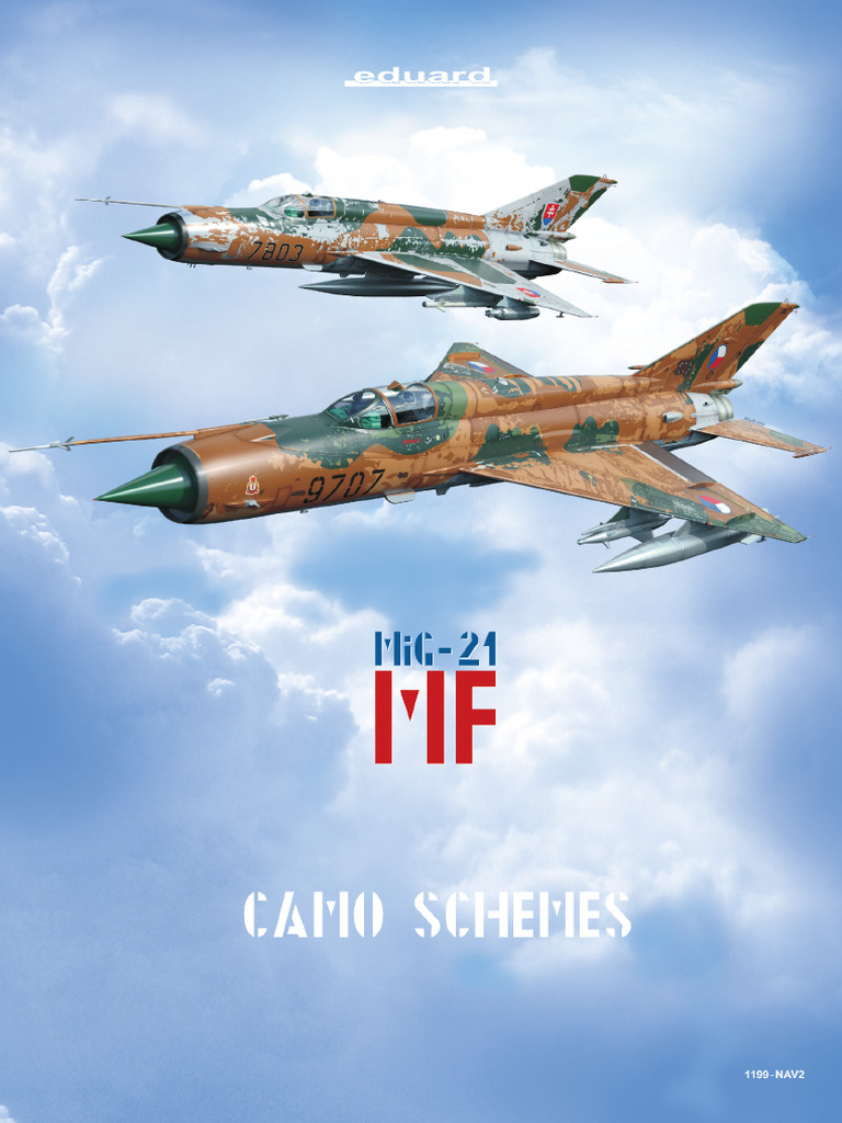 1199 Markings | PDF | Aircraft | Aviation