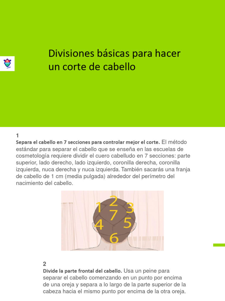 dibisiones basicas para el corte de cabello | PDF