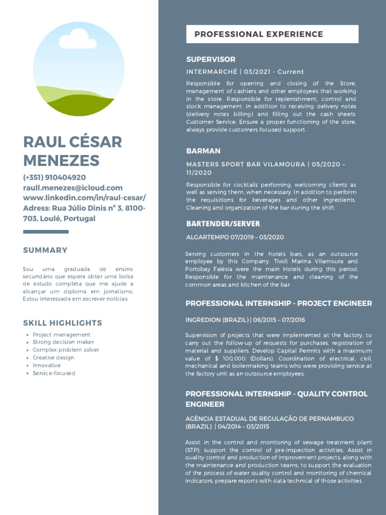 Professional Experience | PDF | Iso 9000 | Business