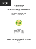 Kelompok 4 IDENTIFIKASI MAKROSKOPIS DAN MIKROSKOPIS RHIZOMA, FLOS, FRUCTUS DAN SEMEN | PDF