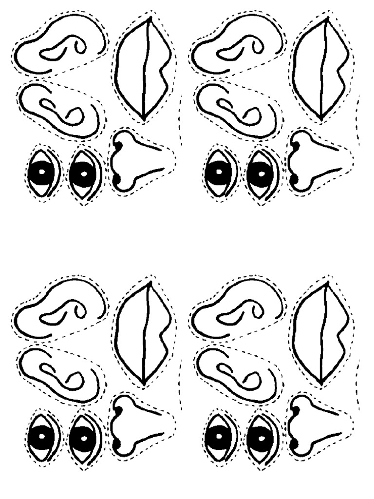 Partes de La Cara | PDF