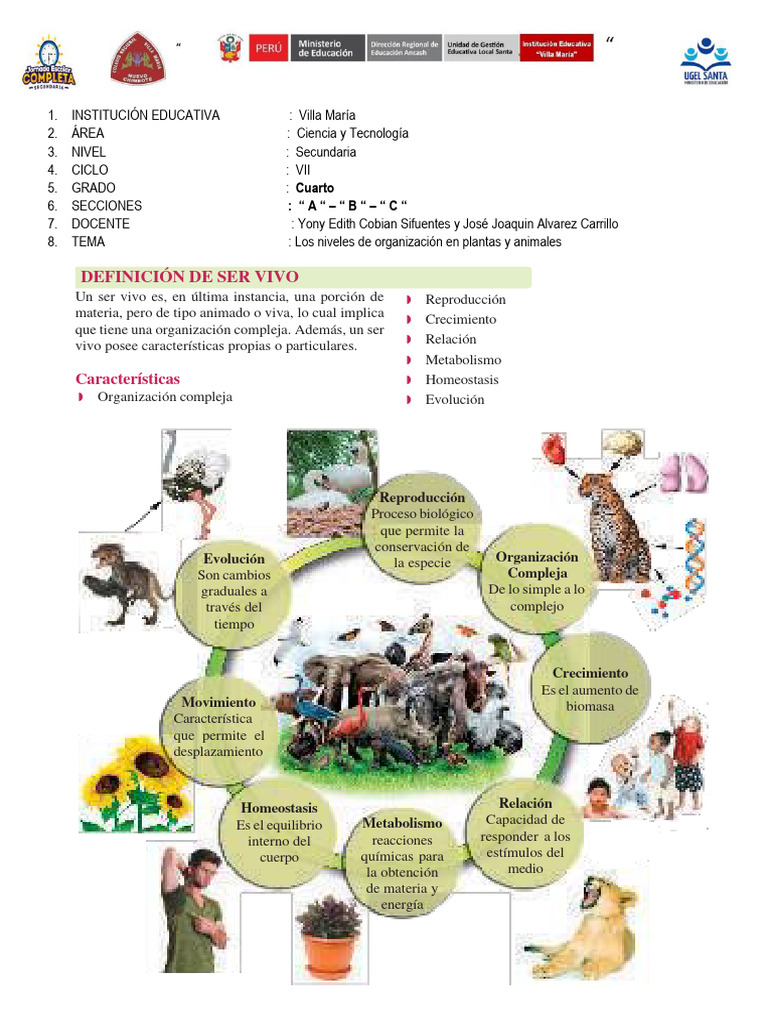 Niveles de Organizacion de Los Seres Vivos Los-Seres-Vivos-para-Cuarto-Grado-De-Secundaria ...