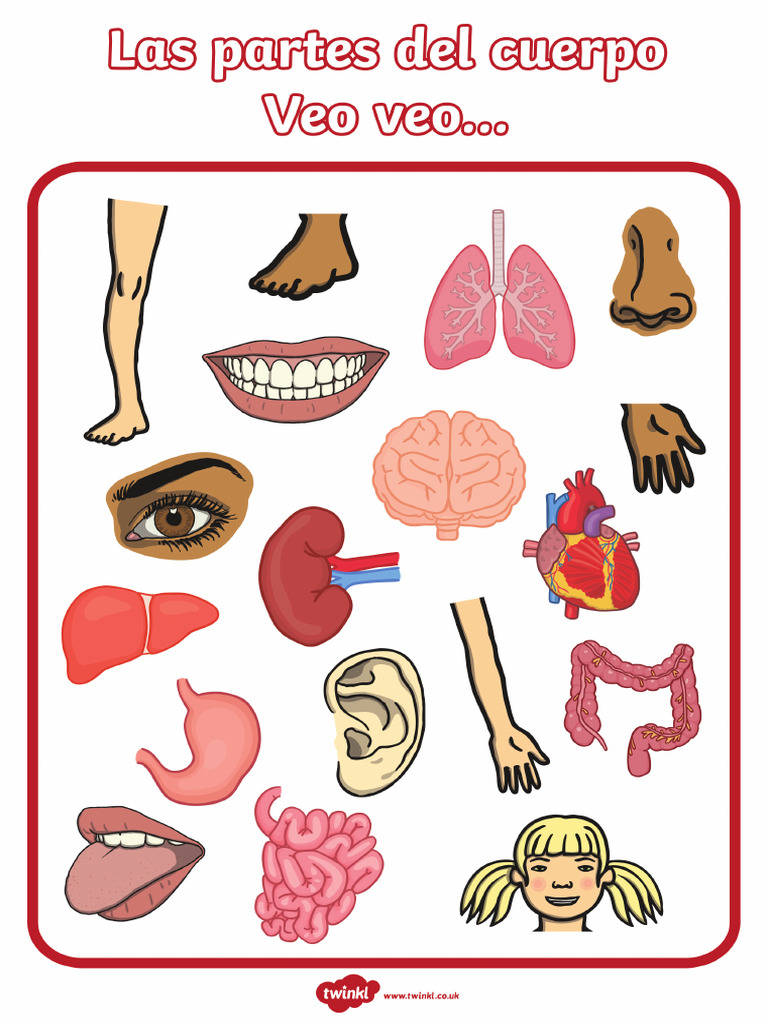 Veo, Veo Las partes del cuerpo | PDF