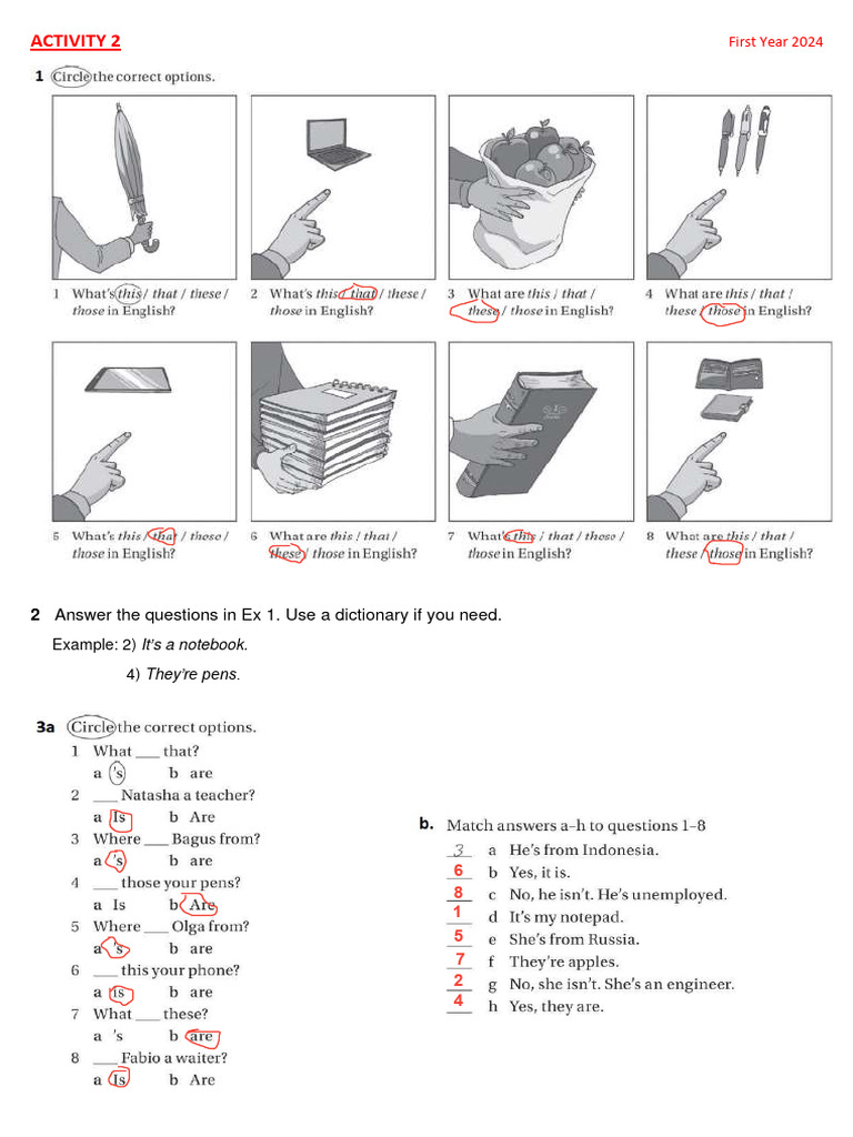 Beginner English Exercises | PDF