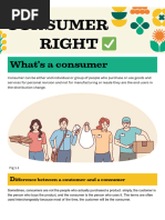 Consumer Rights Project Class 10 | PDF | Consumer Protection | Justice