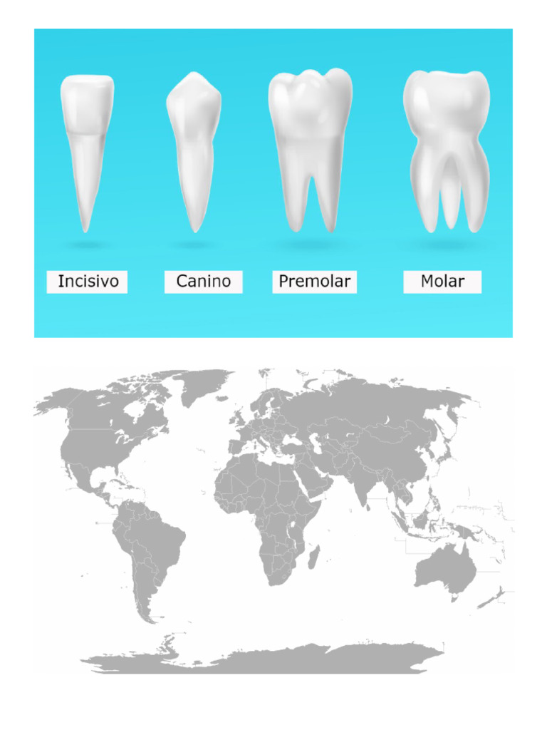 Dientes y Mapamundi | PDF