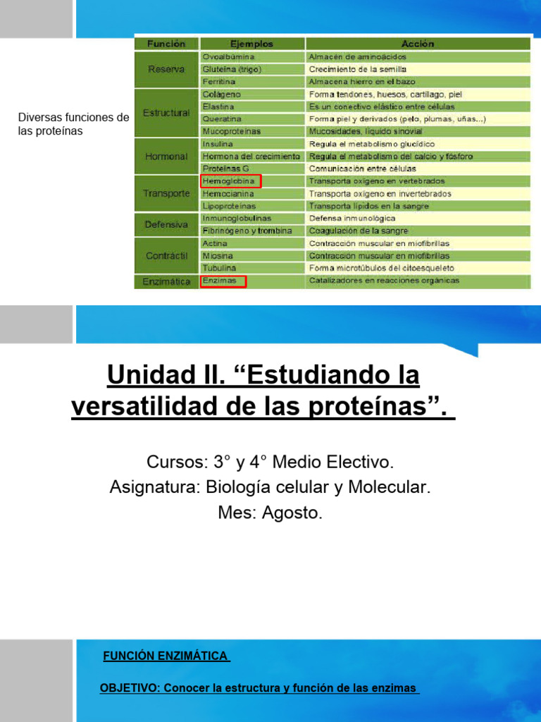 3 y 4 HC Ciencias Clase 1-Bio - Celular - U2 - Enzimas | PDF | Enzima | Metabolismo
