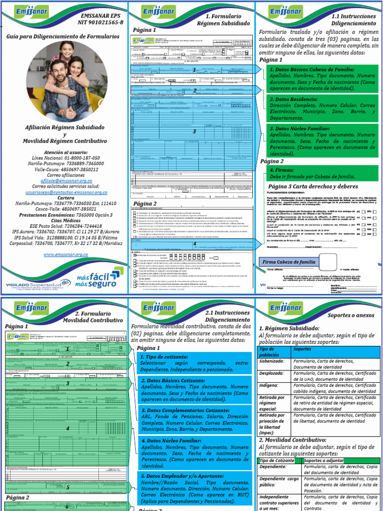 Instructivo Formularios | PDF | Documento de identidad