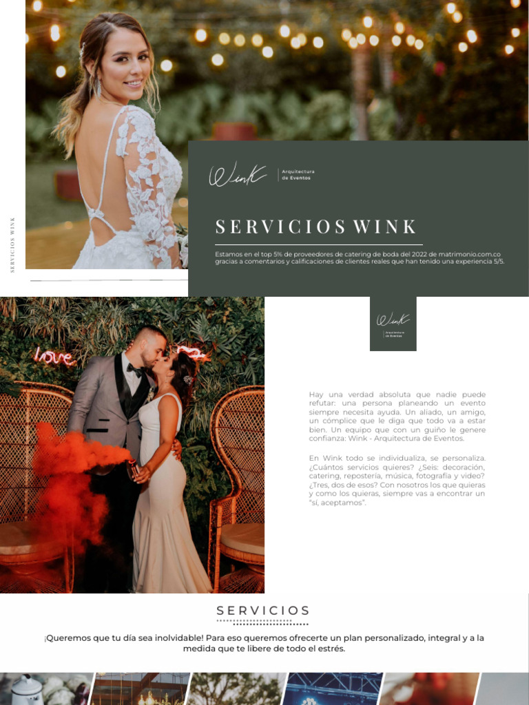 Brochure Servicios Wink | PDF