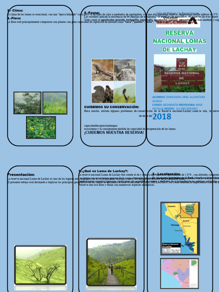 Triptico Lomas Lachay | PDF | Ciencias de la Tierra