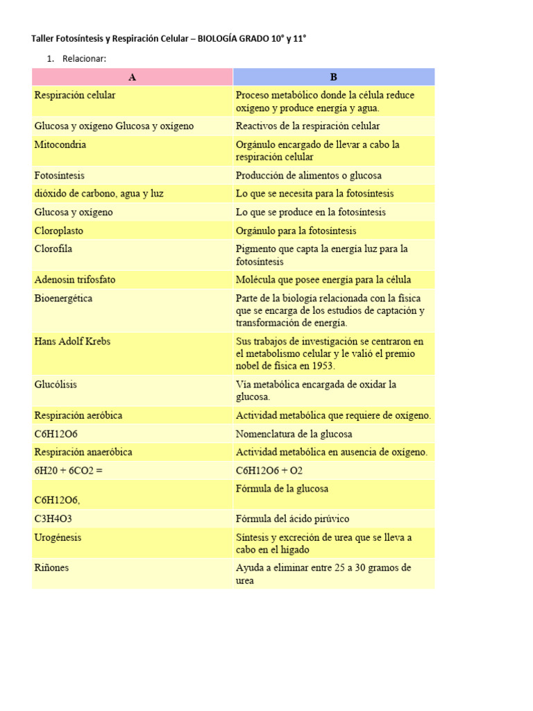 Taller de Respiracion Celular - BIOLOGÍA 10° y 11° | PDF | Glucólisis ...