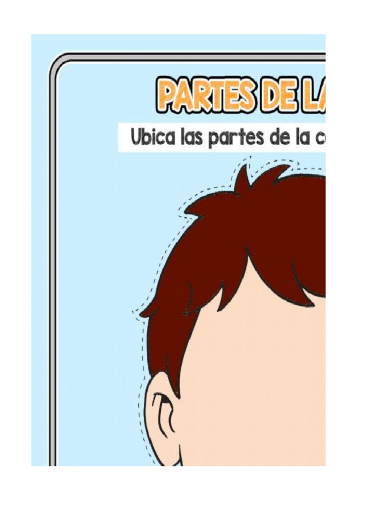 Partes de la cara. | PDF