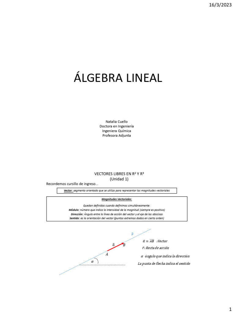algebra y geometria analitica | Descargar gratis PDF | Matriz (Matemáticas) | Vector Euclidiano