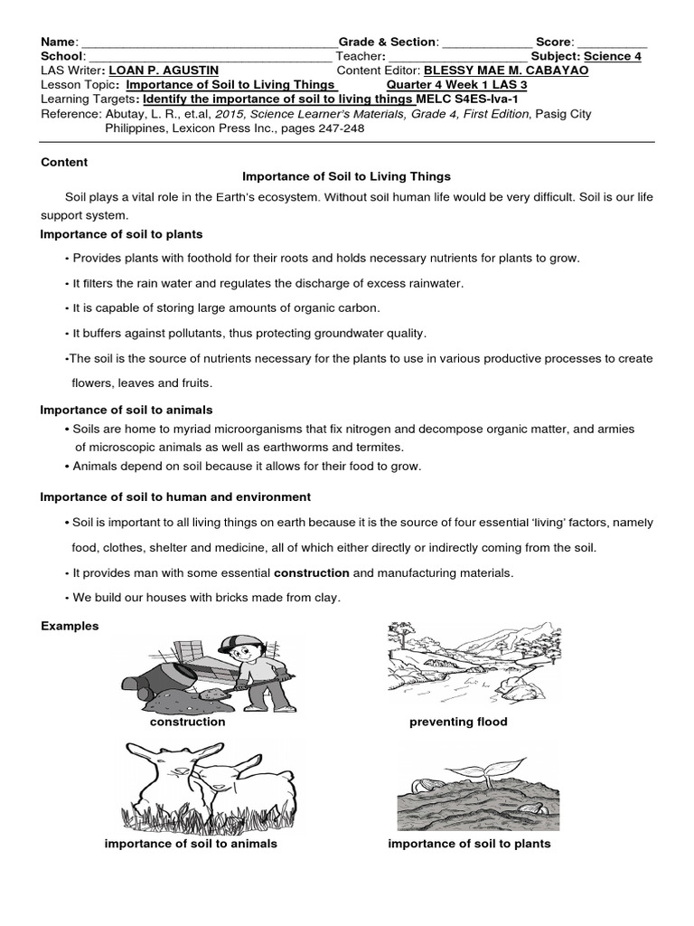Importance of Soil for Living Things | PDF | Soil | Organic Matter