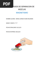 Método de Separación - Imantación | PDF | Imán | Magnetización