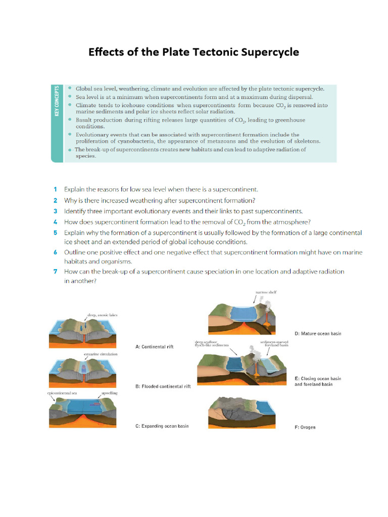 Effects of the Plate Tectonic Supercycle Check Your Understanding Q's ...