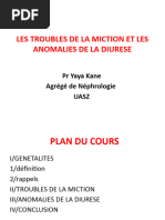 Cystostomie à minima : Technique et soins | PDF | Vessie | Appareil ...
