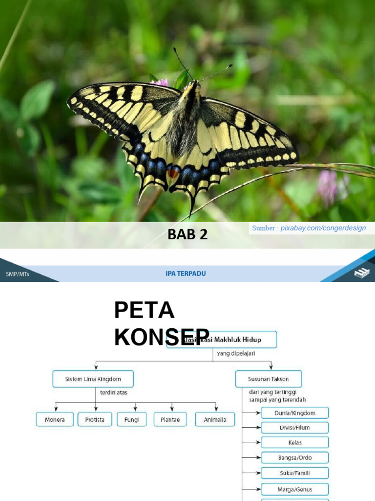 IPA Kelas 7 Bab 2 Klasifikasi Makhluk Hidup.pptx | PDF