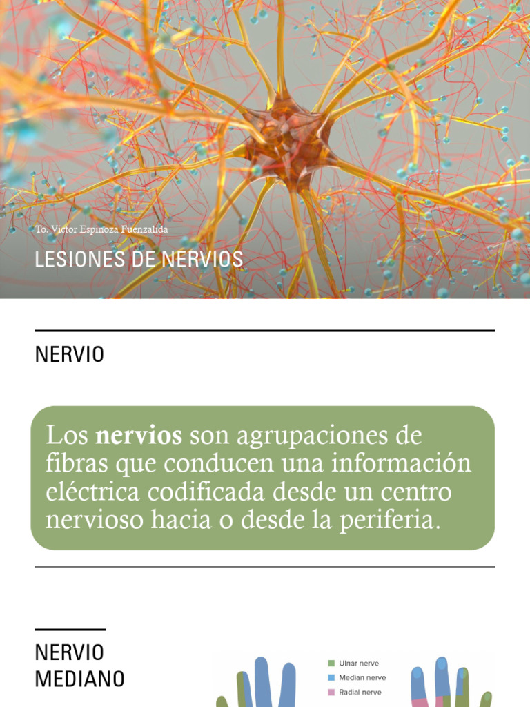 Lesion de Nerv Ios | Descargar gratis PDF | Nervio | Mano