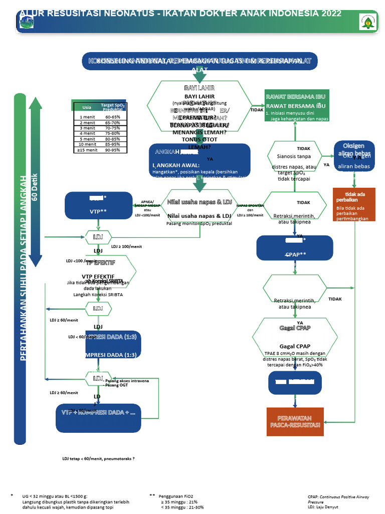 659912545-Download-alur-resusitasi-Neonatus-Ikatan-Dokter-Anak ...