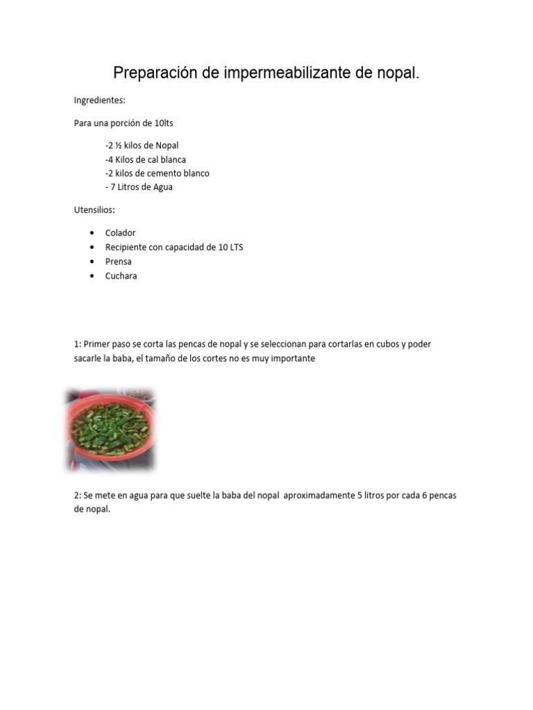 Producto Del Noopal | PDF | Cocina, comidas y vino | Hogar, jardinería ...