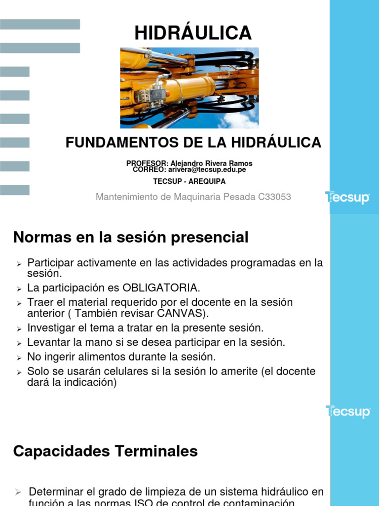 S13 - ARIVERA - 2024 - 01 | PDF | Filtración