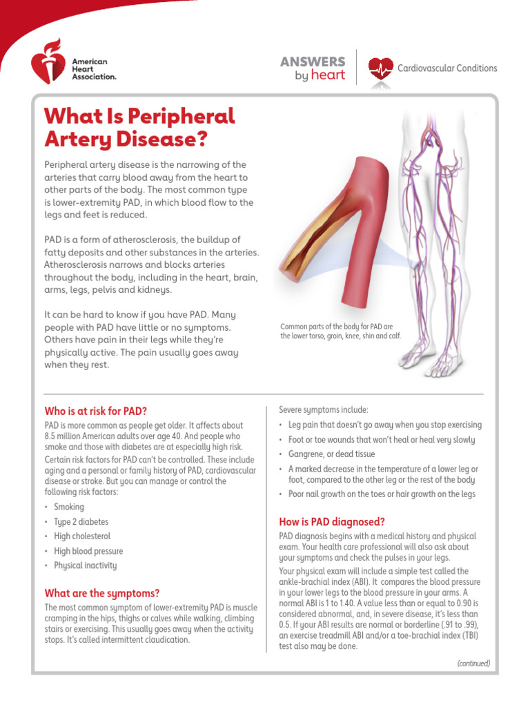 What Is Peripheral Artery Disease | PDF | Medical Specialties ...