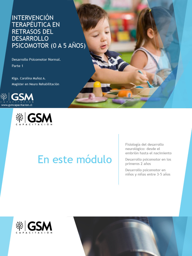 Clase 1 RDSM | PDF | El embarazo | Neurona