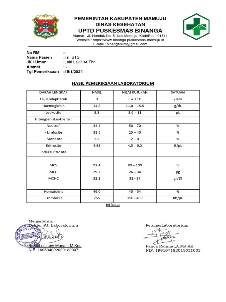 Hasil Lab Kak Ruth Gerson | PDF