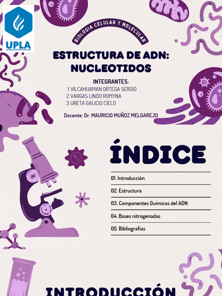Estructura de Adn Nucleotidos Grupo 4 | PDF | Adn | Nucleótidos