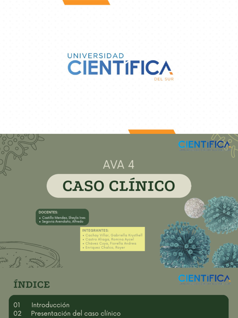 Ava 4 | PDF | VIH | Virus