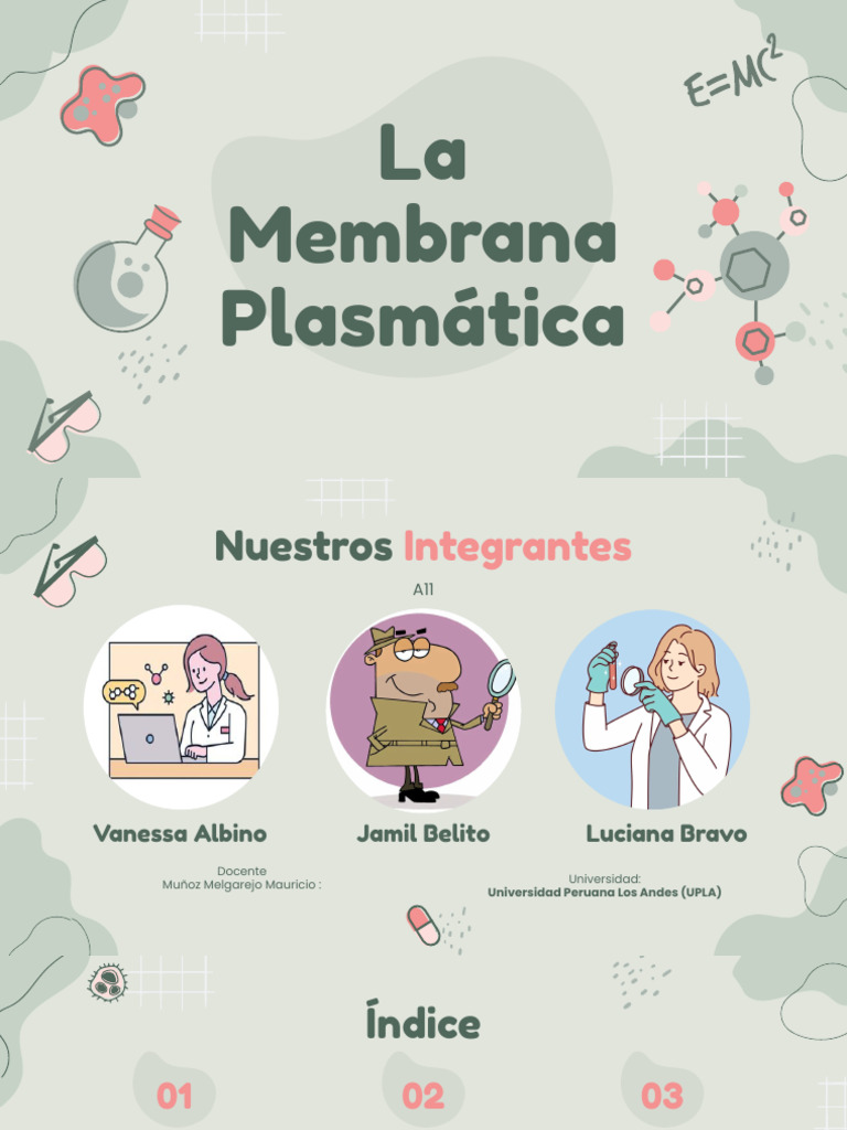 La Membrana Plasmatica A11 | PDF | Membrana biológica | Membrana celular