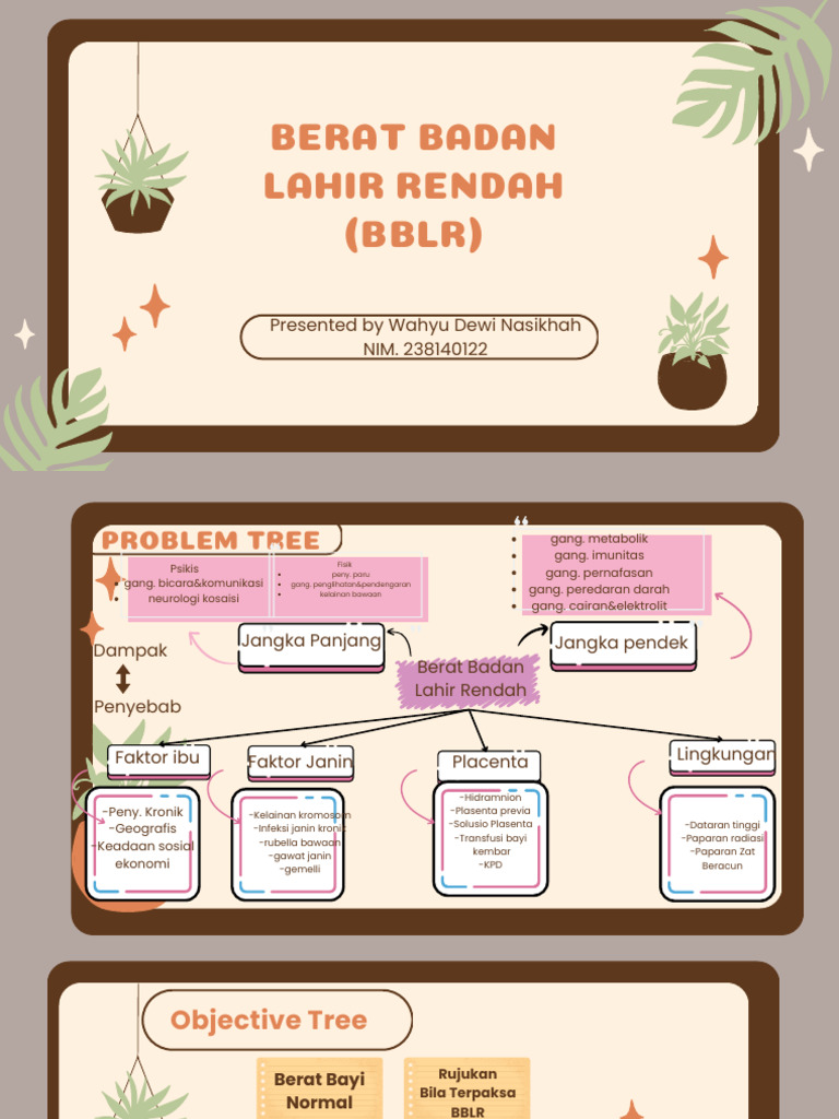 Power Point BBLR | PDF | Kesehatan Holistik