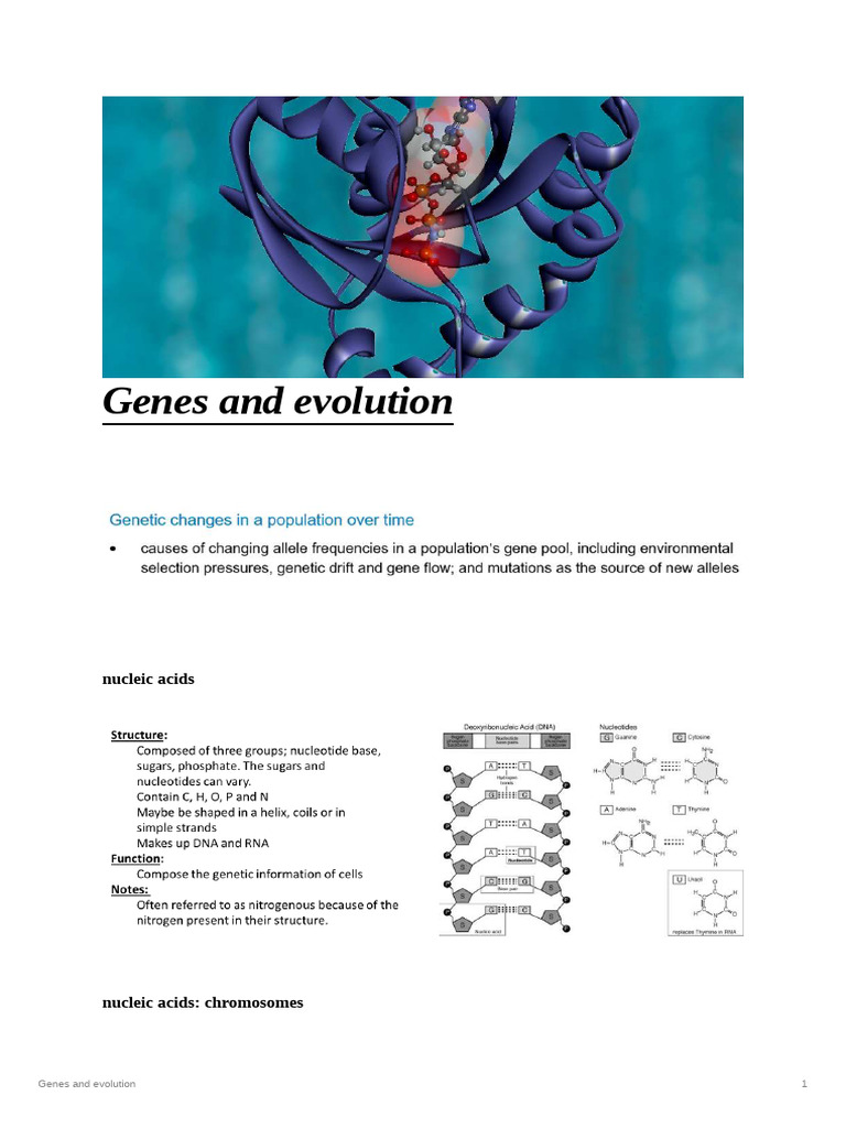 Genes and Evolution | Download Free PDF | Mutation | Evolution