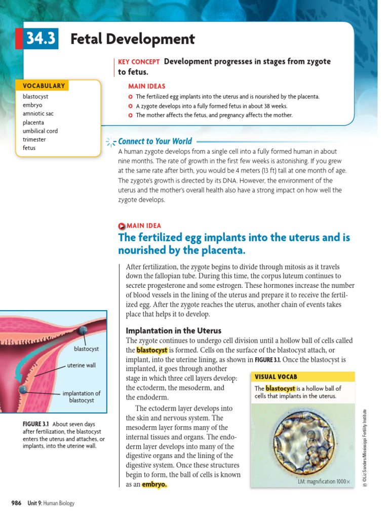 X EZ12 RDX 2 O7 D P5 Ts Yf VTQ Thai 81 R4 I Oxl FYSh DGC | PDF | Pregnancy | Placenta