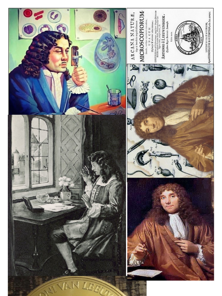 Anton van Leeuwenhoek: Pionero de la Microbiología | PDF