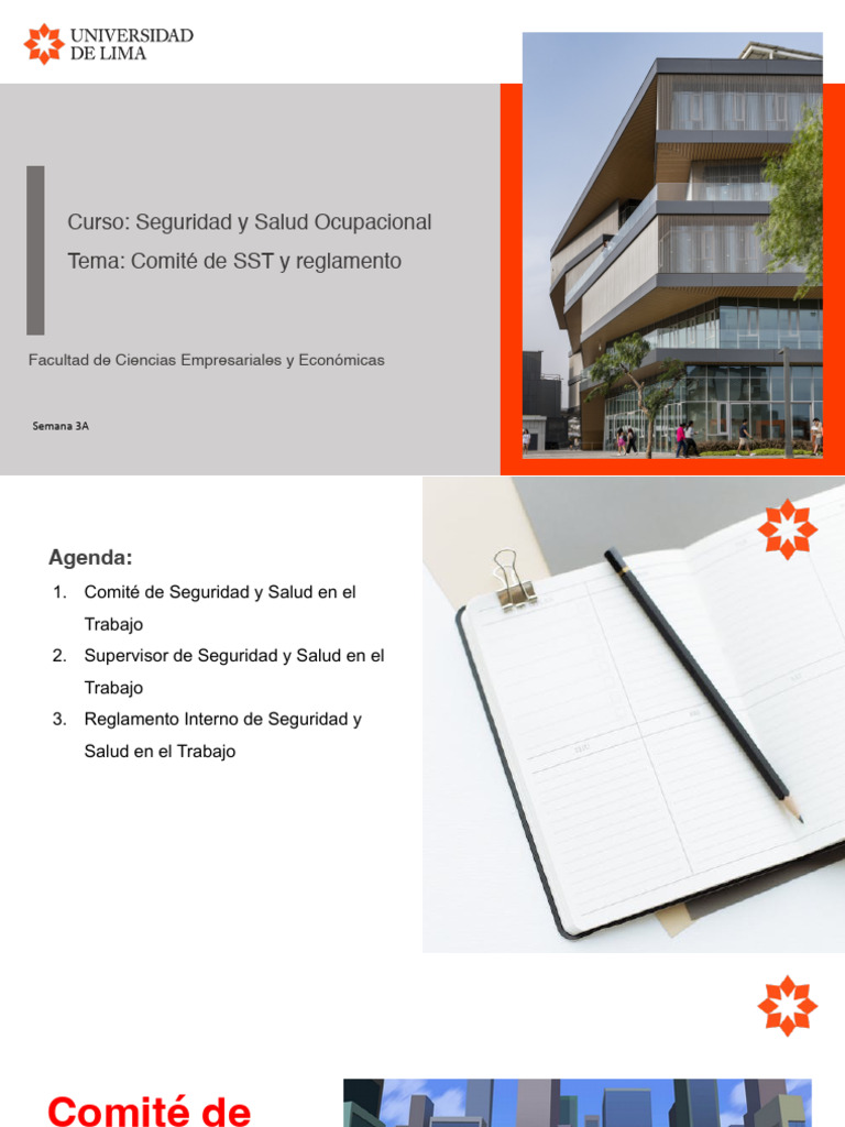 Semana 3A - Comité de SST y Reglamento | PDF | Regulación | Derecho laboral