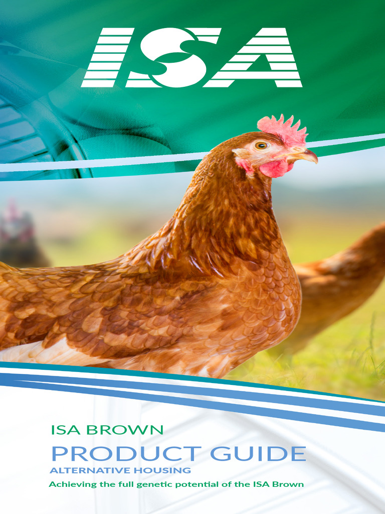 ISA Brown CS Product Guide Alternative en L1211-1 | PDF | Poultry Farming