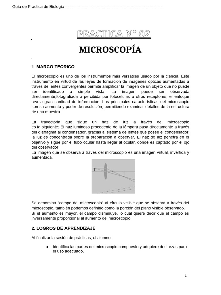 Pràctica 02 Micros | PDF | Microscopio | Óptica
