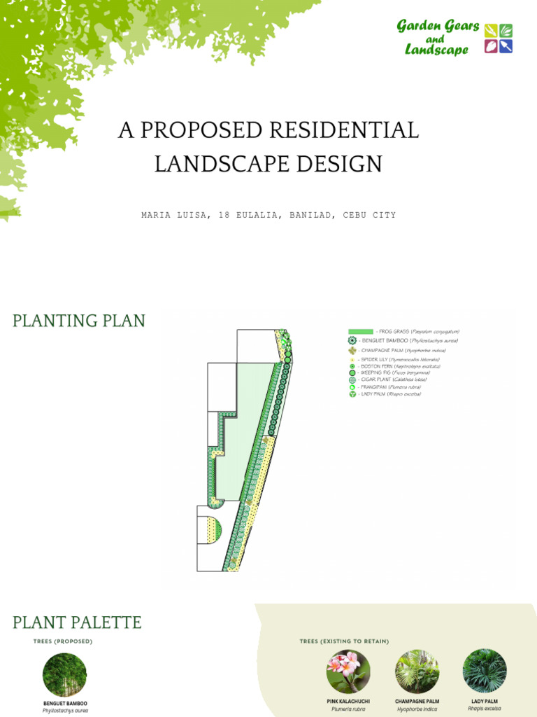 Base Map for Concepts | PDF | Botany | Plants