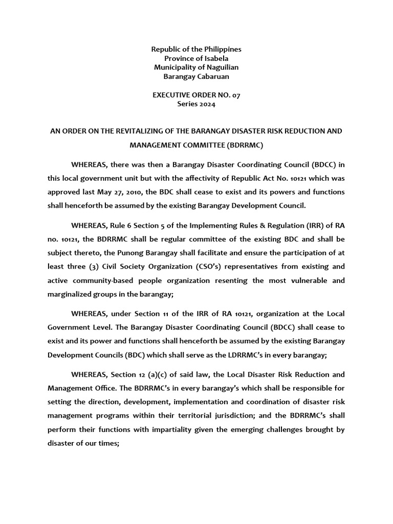 7 Bdrrmc. | PDF | Emergency Management | Disaster Risk Reduction