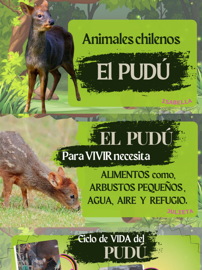 El PUDÚ - 20240605 - 154921 - 0000 | PDF