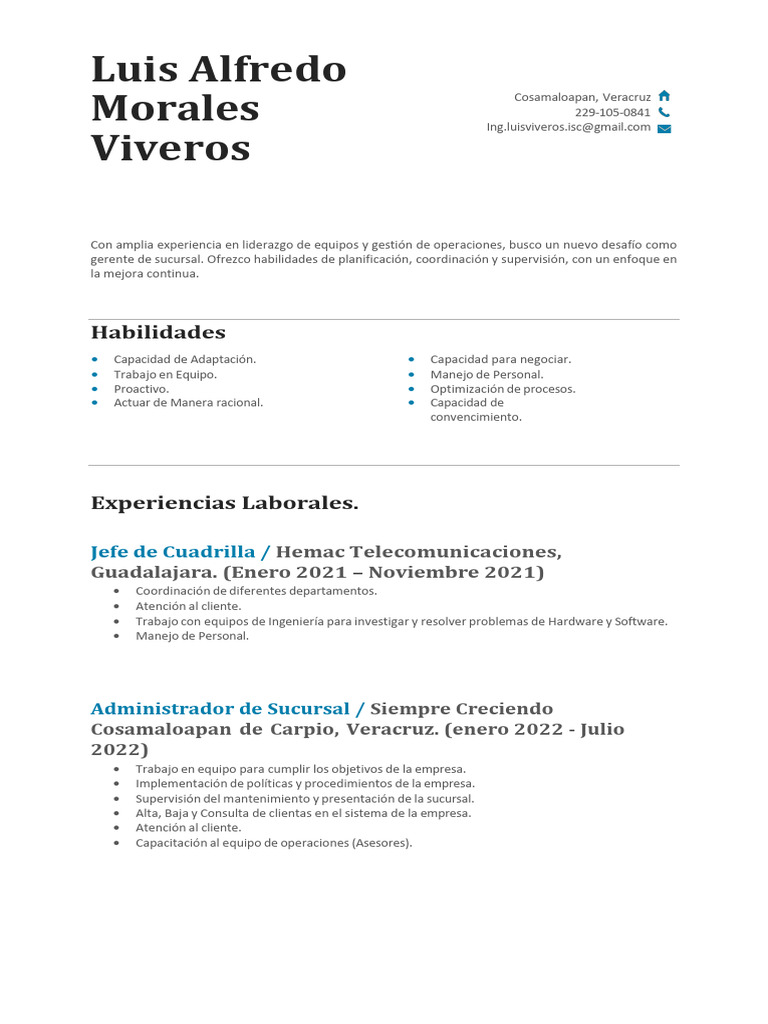 CV Actualizado Luis Viveros | PDF | Planificación | Business