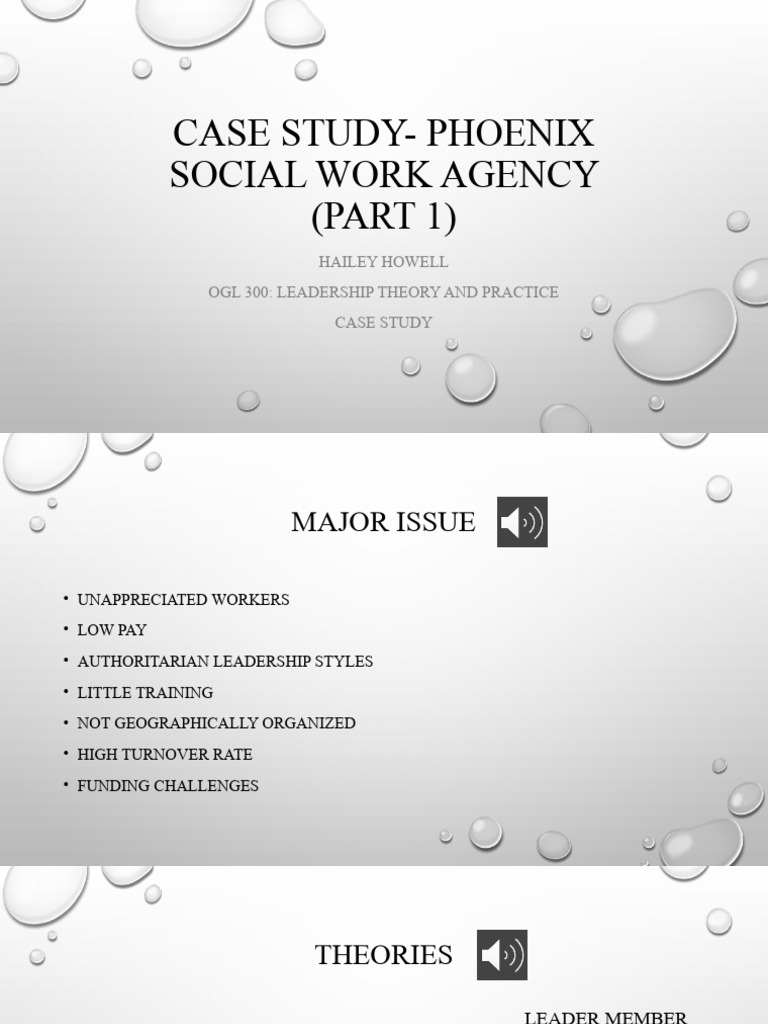 Case Study - Phoenix Social Work Agency | PDF | Leadership | Behavioural Sciences