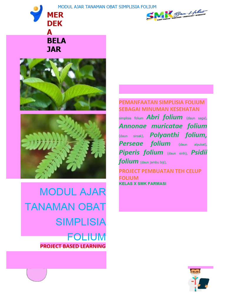 Modul Ajar Simplisia Folium Obat Herbal | PDF | Sains & Matematika